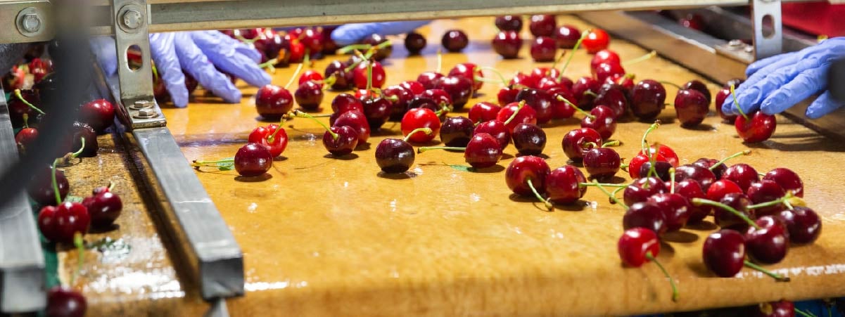 Why is Transparency Essential to Food Safety and Quality?