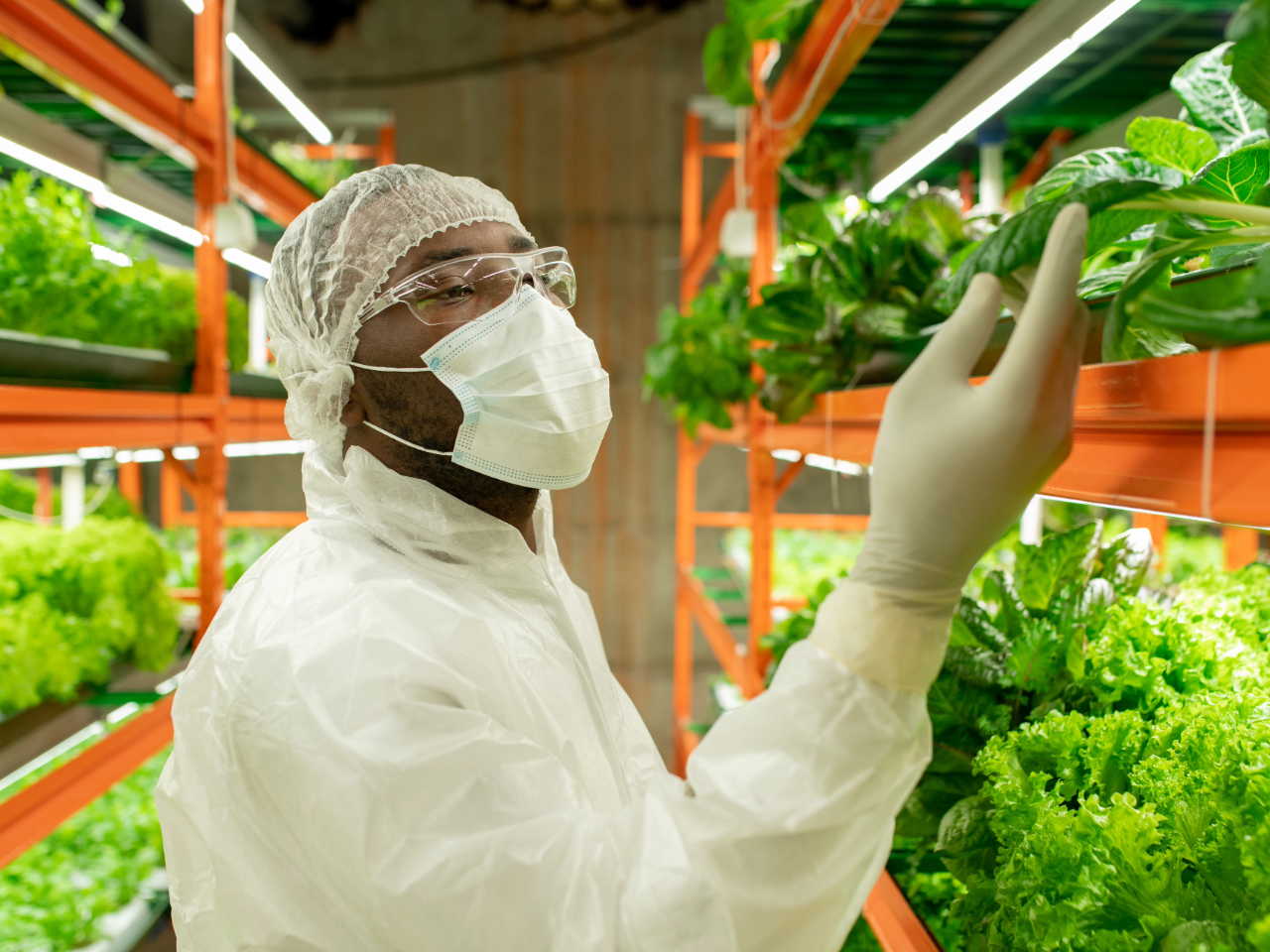 Genesis Foods Upgrades Your Workday with Tools to Work Smarter, Not Harder